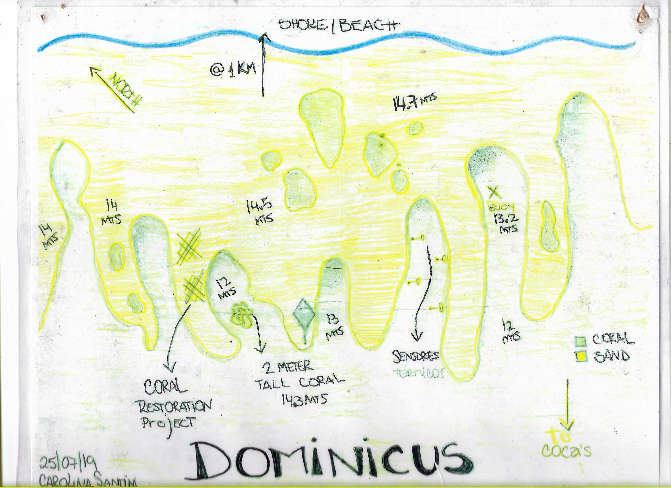 Dominicus Reef