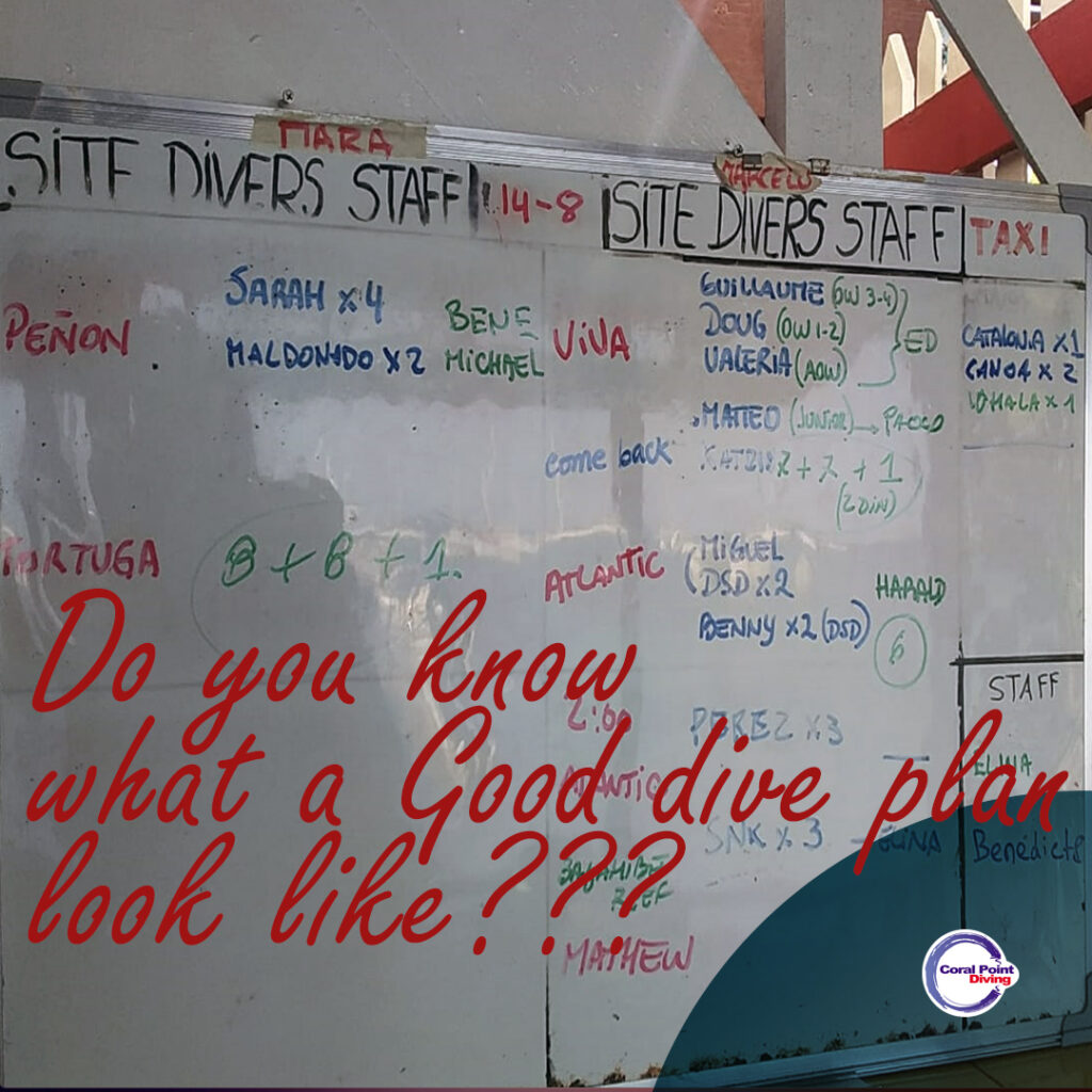 Dive Plan. Do you know what logistics are behind a dive plan?